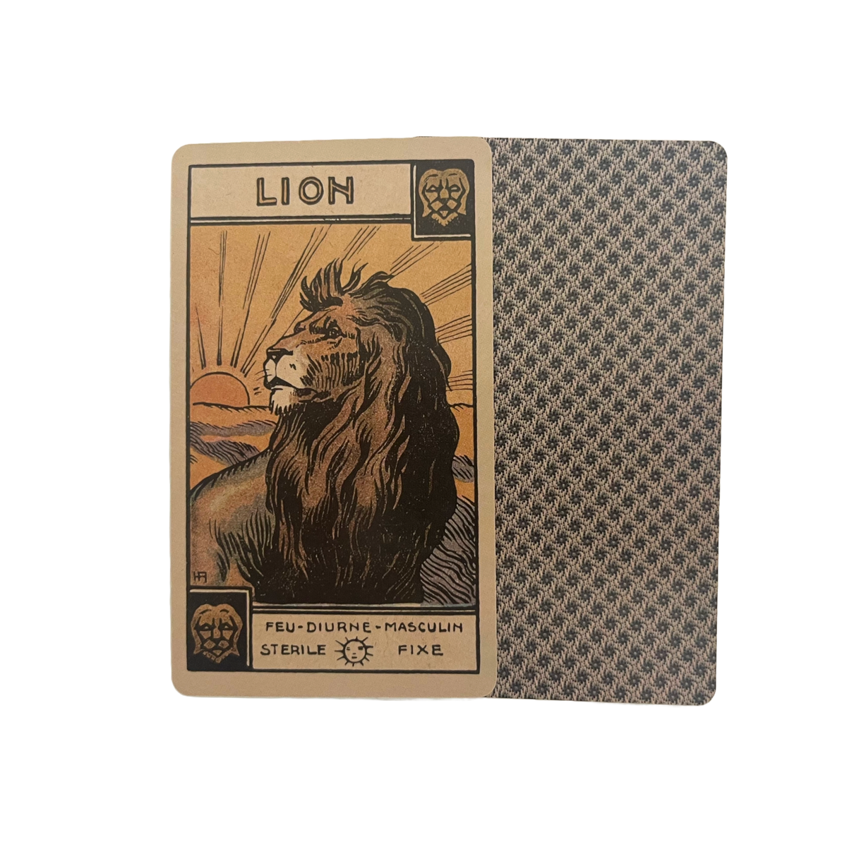 Astrological Tarot Deck with Guidebook – EarthandBone