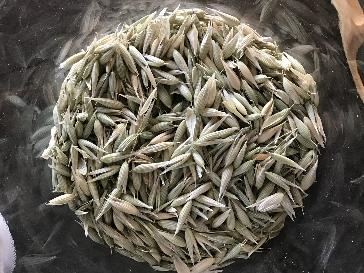 Oat tops – EarthandBone